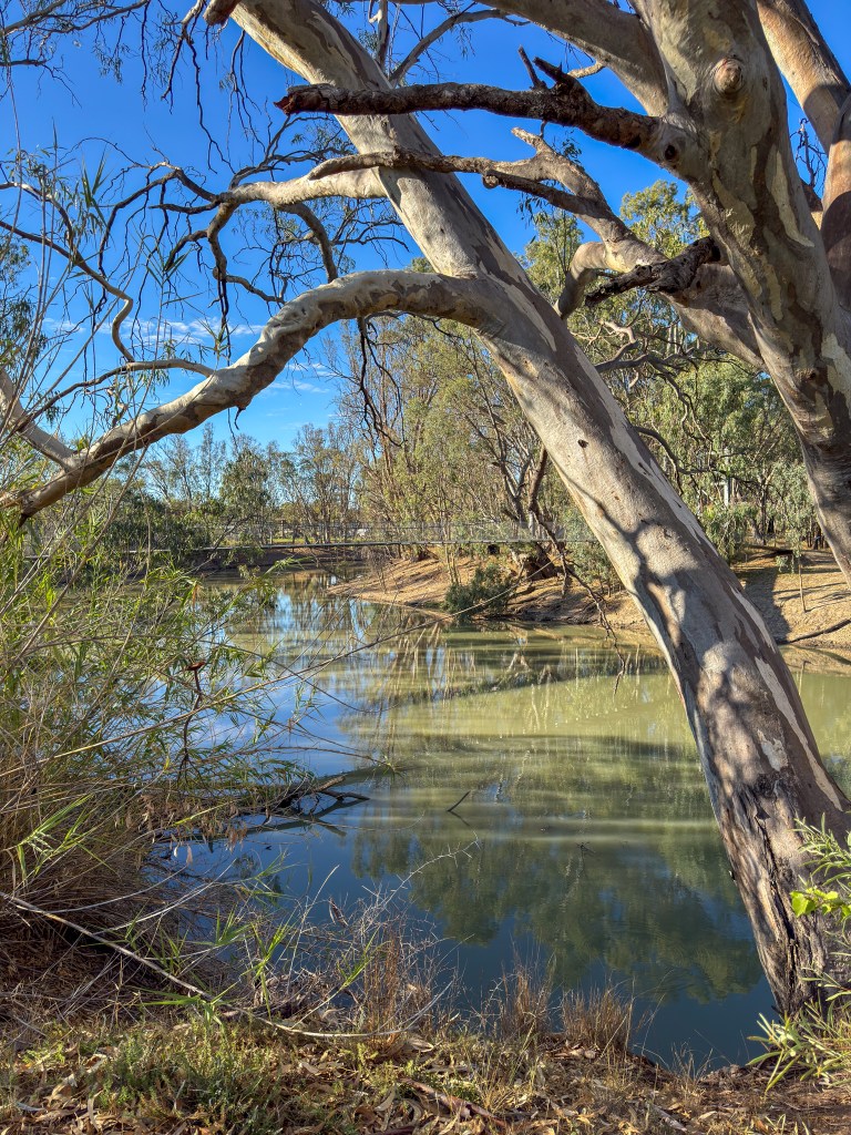 Balranald to Renmark - The Other Pages